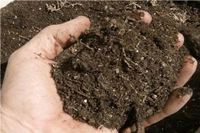 Tips Memilih Pupuk Organik - Fakultas Pertanian dan Peternakan
