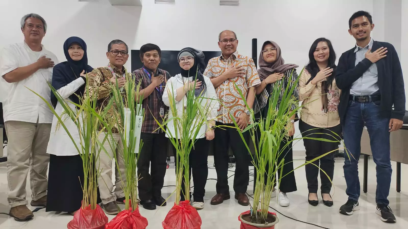 Kembangkan Benih Unggul Padi Witagen, BRIN Gaet Mitra Industri PT. WPI ...
